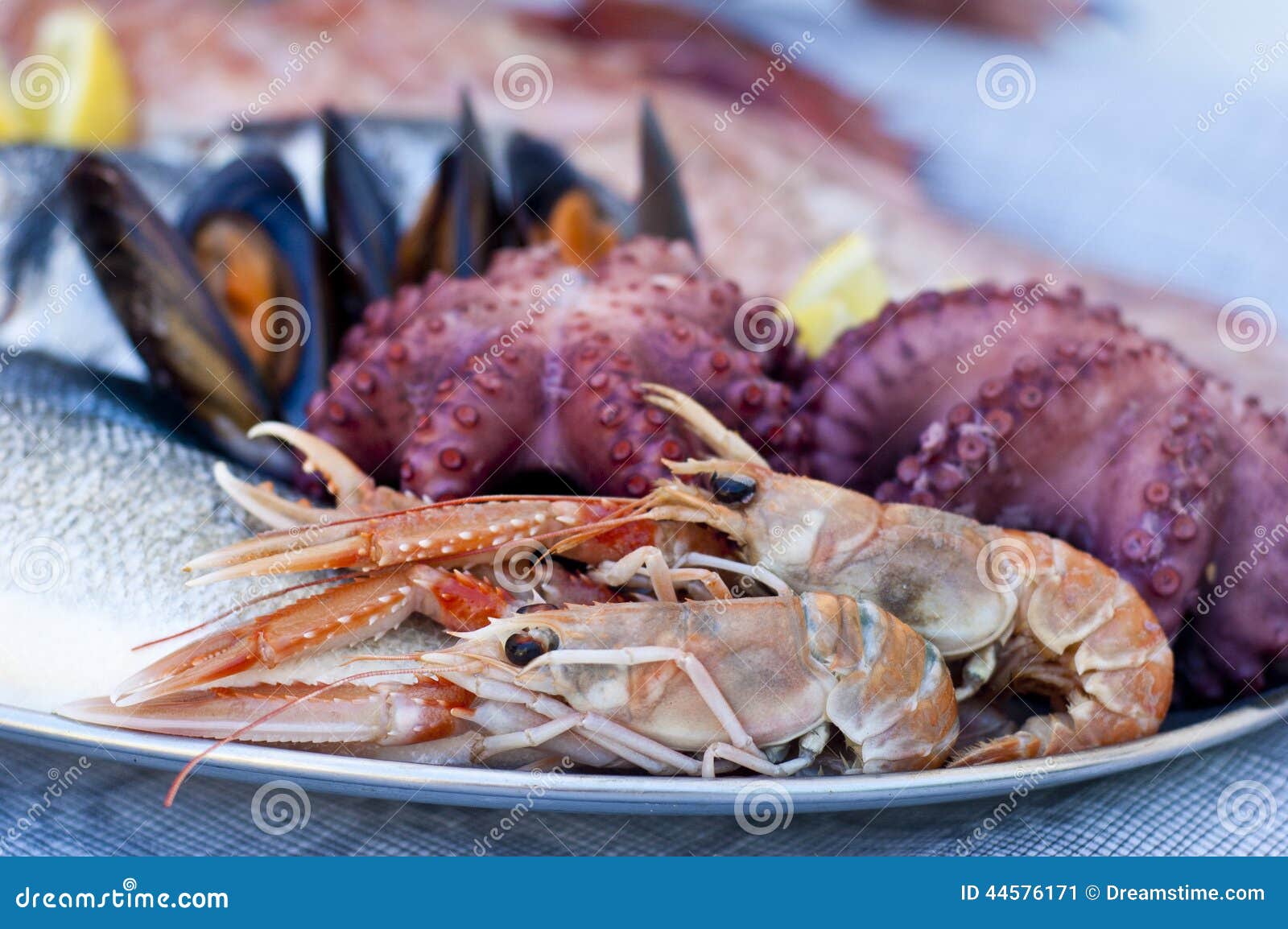Pesce Fresco, Crostacei E Frutti Di Mare Immagine Stock - Immagine di ...