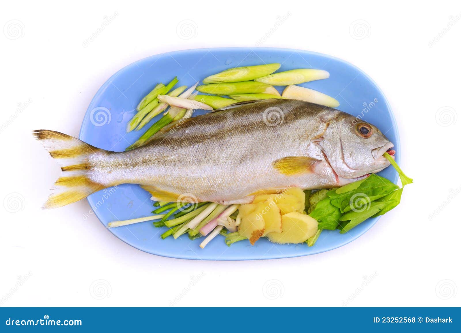 Pesce nel piatto fotografia stock. Immagine di ingorgo - 23252568