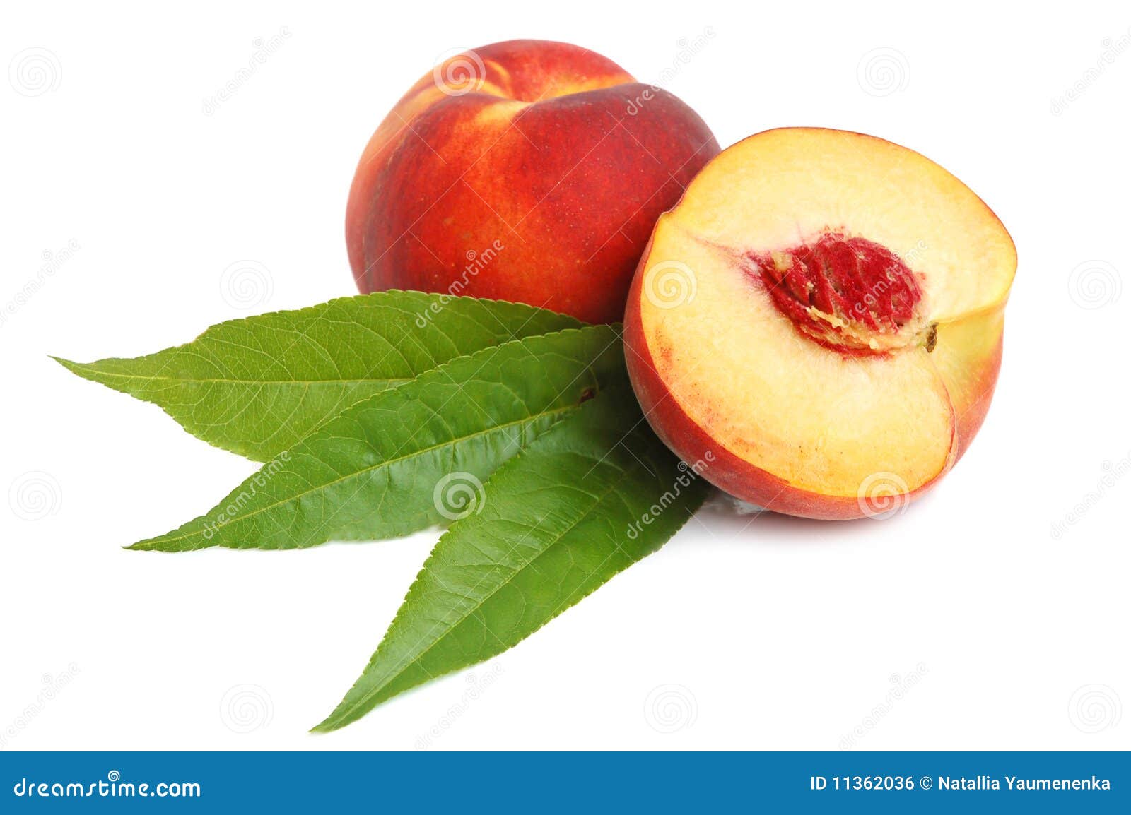 Pesche fotografia stock. Immagine di isolato, taglio - 11362036