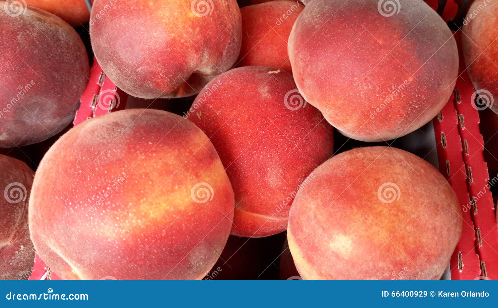 Pesche! immagine stock. Immagine di pesche, frutta, coltivatori - 66400929
