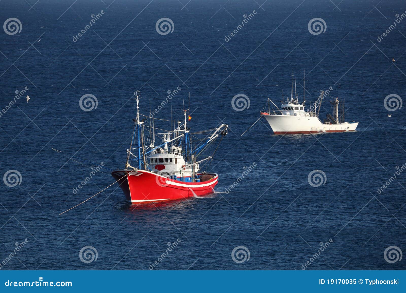 Pescherecci immagine stock. Immagine di baia, bianco - 19170035