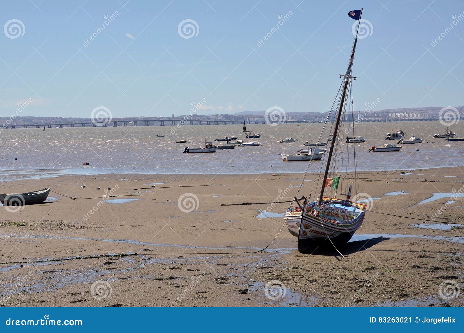 Pescherecci in fiume Tejo fotografia editoriale. Immagine di paesaggio ...