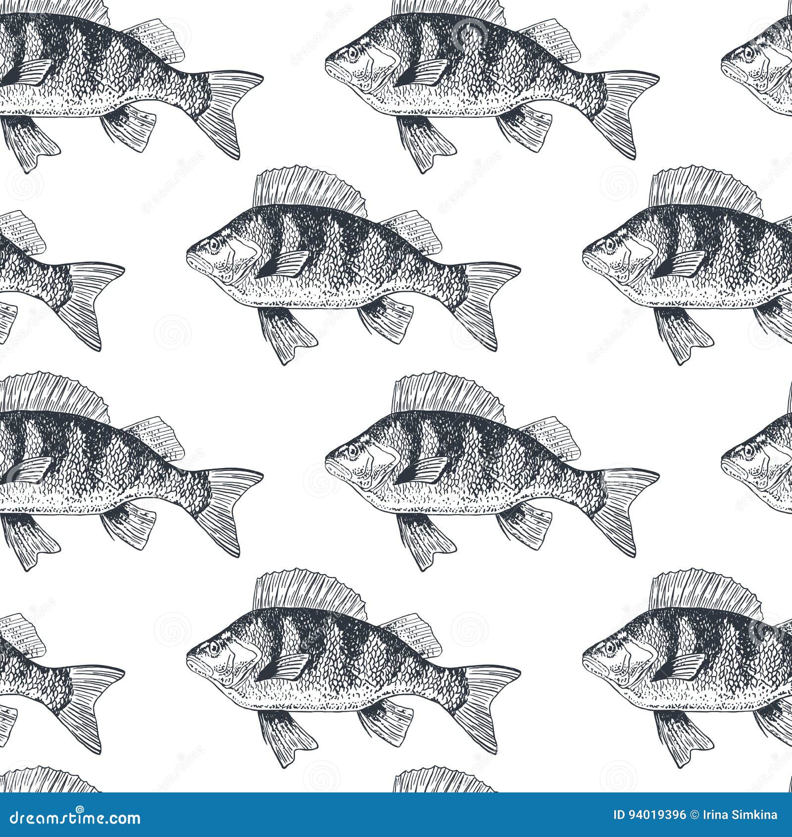 Peschi Il Carassio, Vista Laterale in Bianco E Nero E Isolata ...