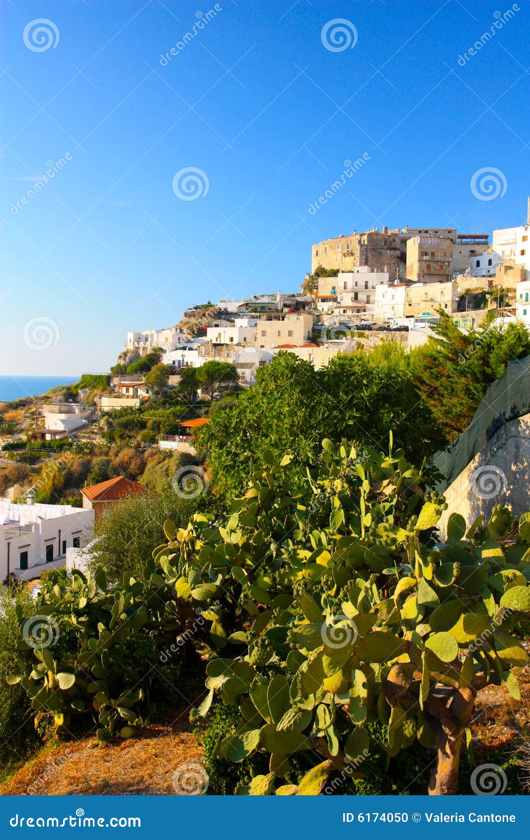 Peschici in Apulia, Italy stock photo. Image of sight - 6174050