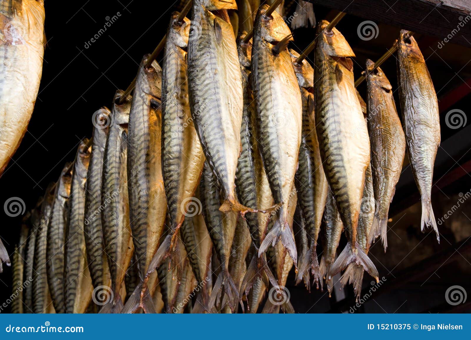 Pesci affumicati immagine stock. Immagine di caduta, scombro - 15210375