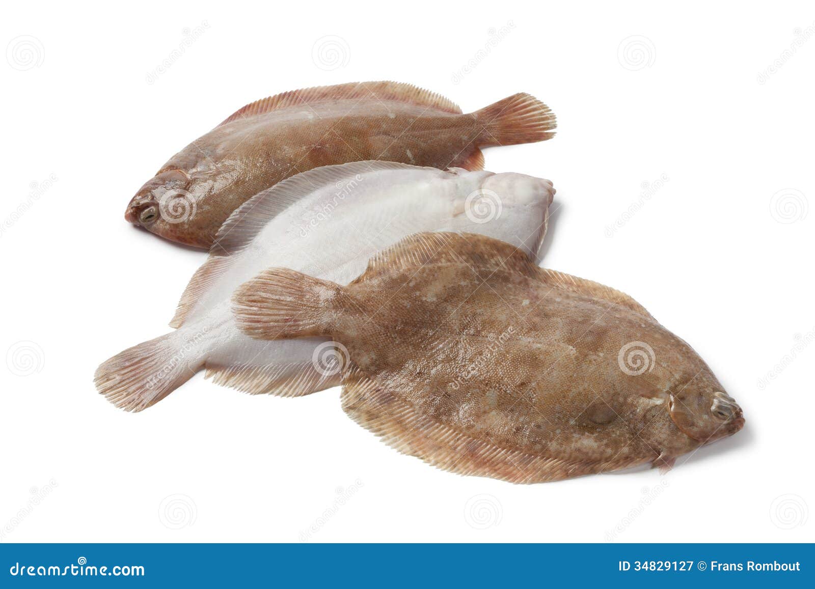 Pesci della limanda immagine stock. Immagine di intero - 34829127