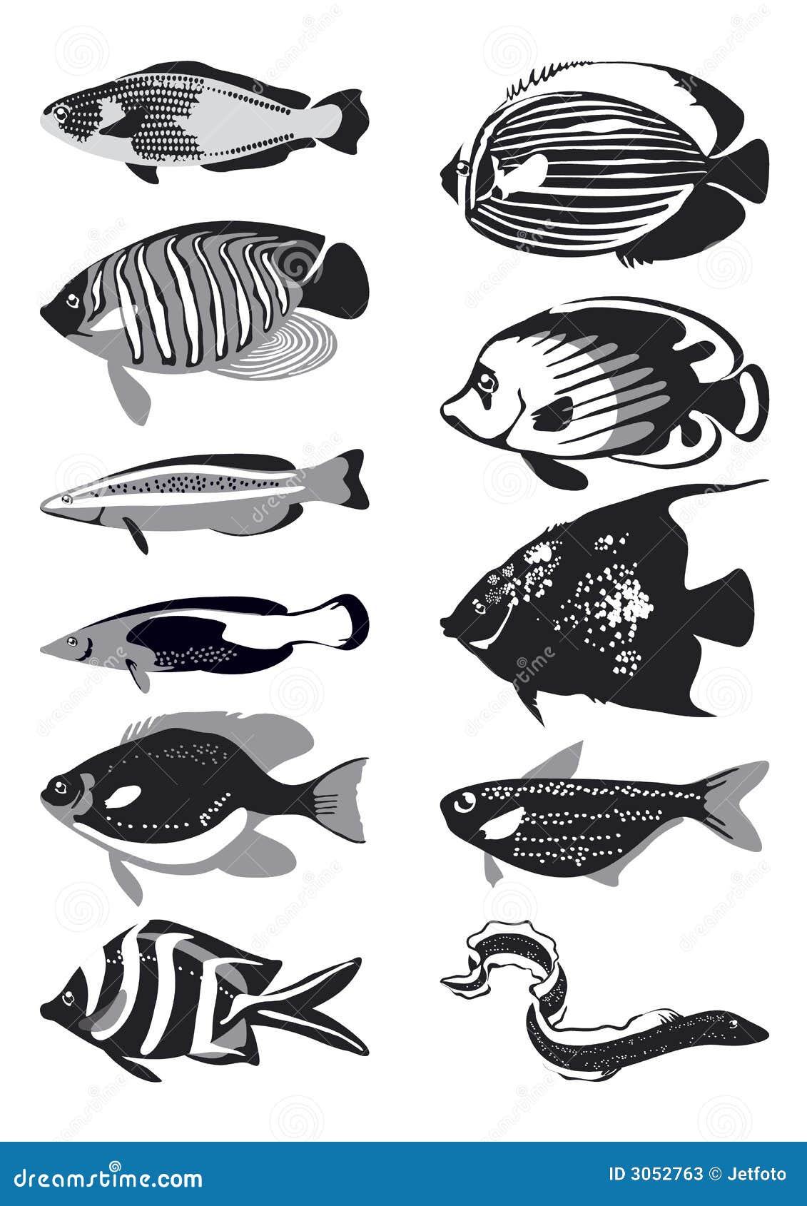 Pesci Di Vettore, in Bianco E Nero Illustrazione Vettoriale ... Pesci Di Vettore, in Bianco E Nero Illustrazione Vettoriale ...