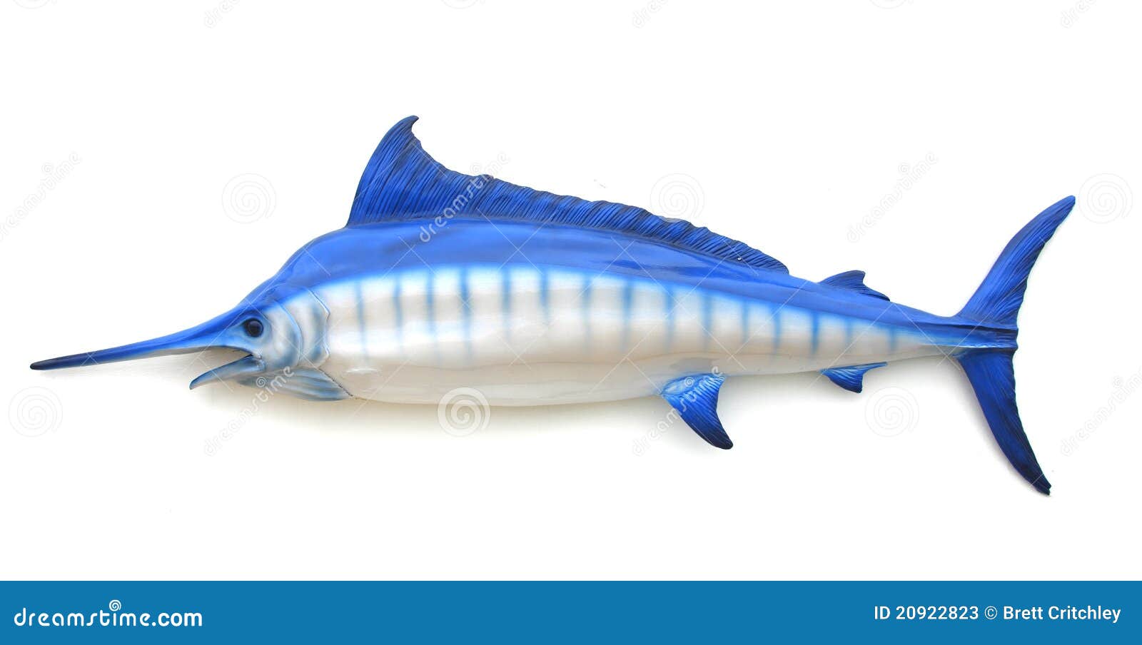 Pesci spada blu immagine stock. Immagine di spada, pesca - 20922823