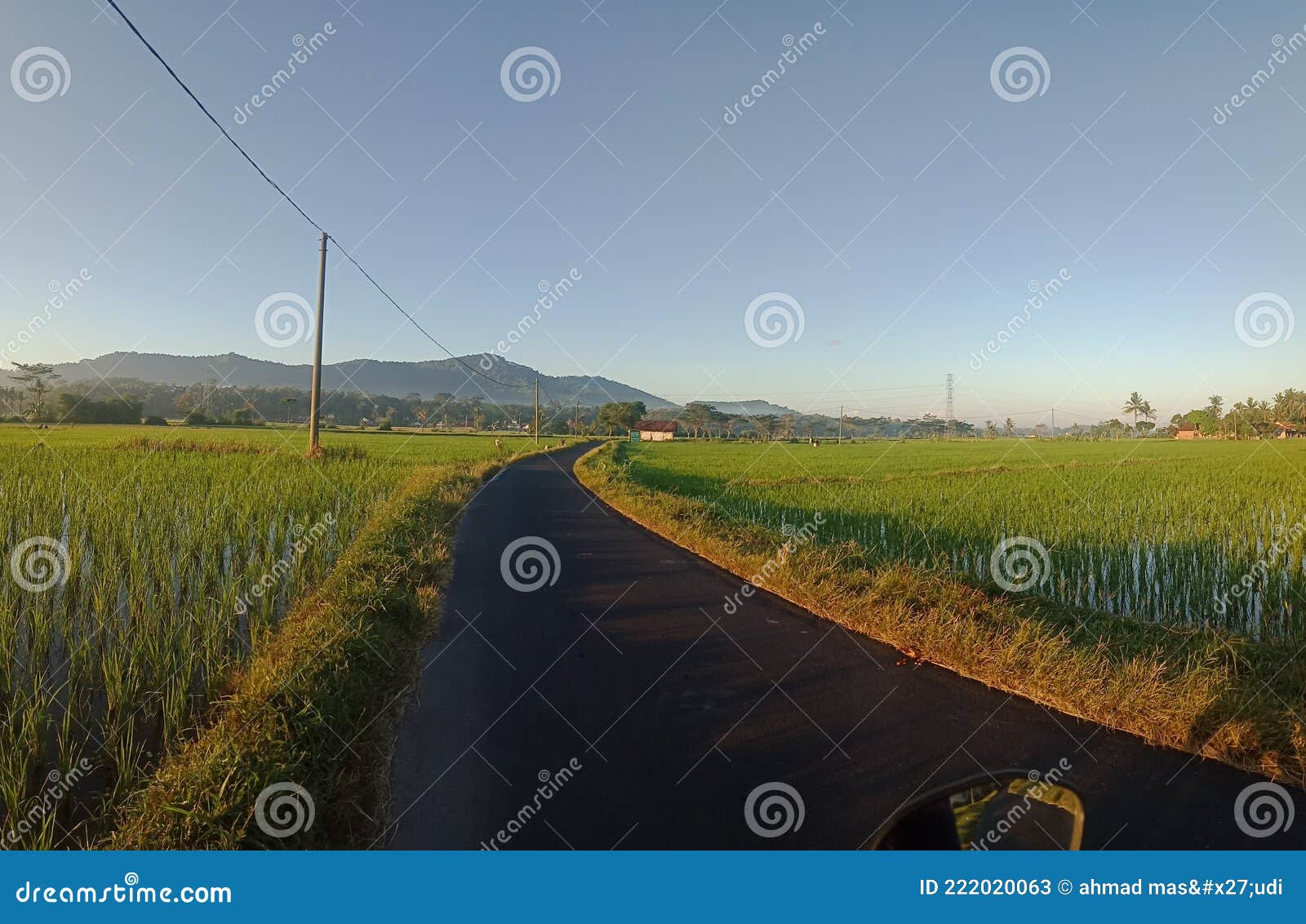 Pesona sawah indonesia stock image. Image of prairie - 222020063