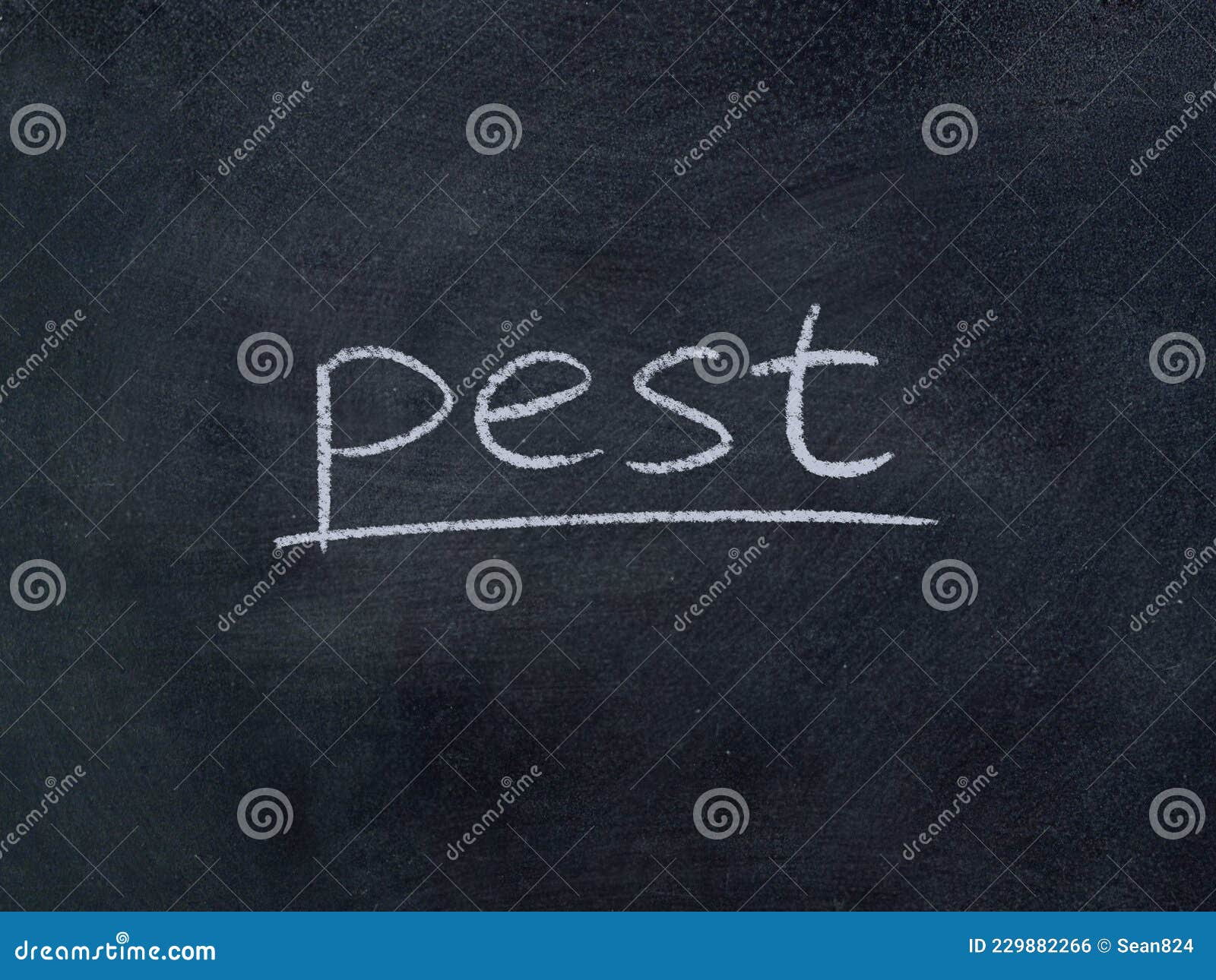 Pest stock photo. Image of pest, education, background - 229882266