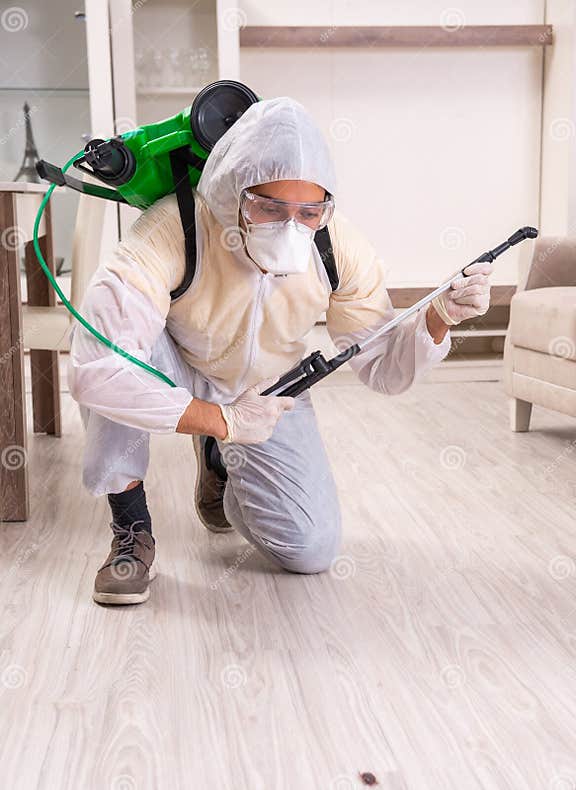 Pest Control Contractor Working in the Flat Stock Image - Image of ...