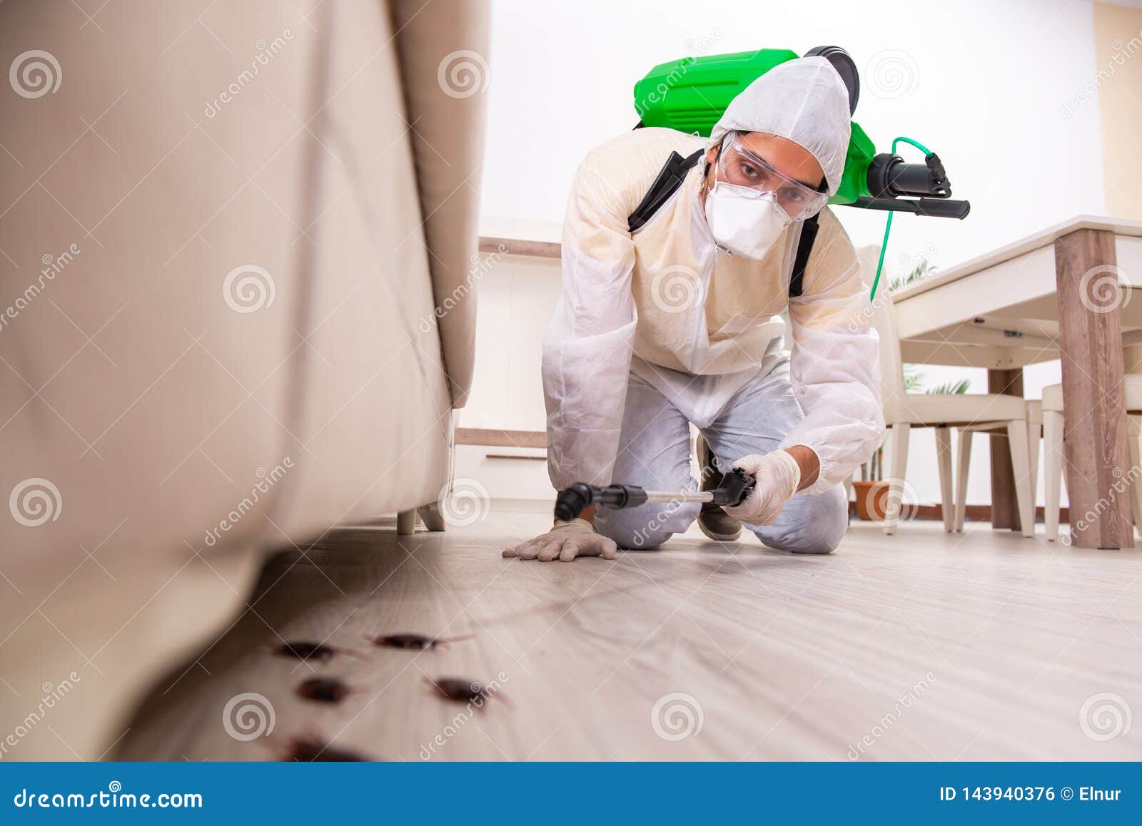 The Pest Control Contractor Working in the Flat Stock Photo - Image of ...
