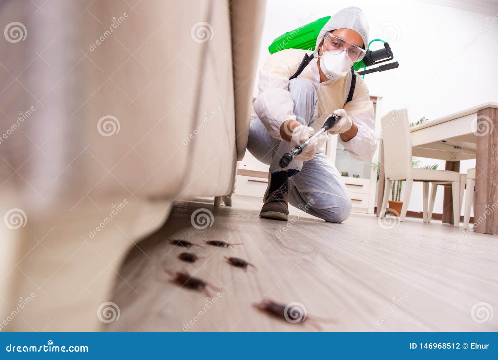 The Pest Control Contractor Working in the Flat Stock Photo - Image of ...