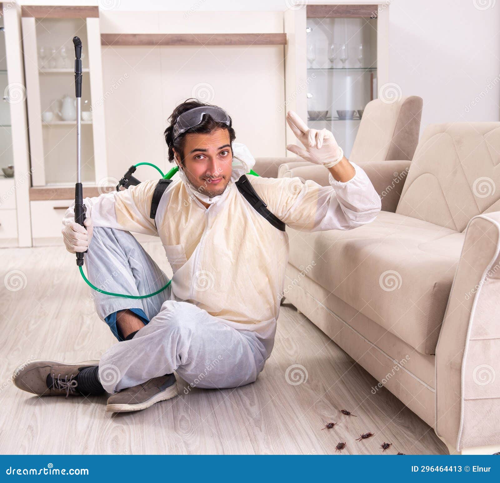 Saluting Rat Stock Photos - Free & Royalty-Free Stock Photos from ...