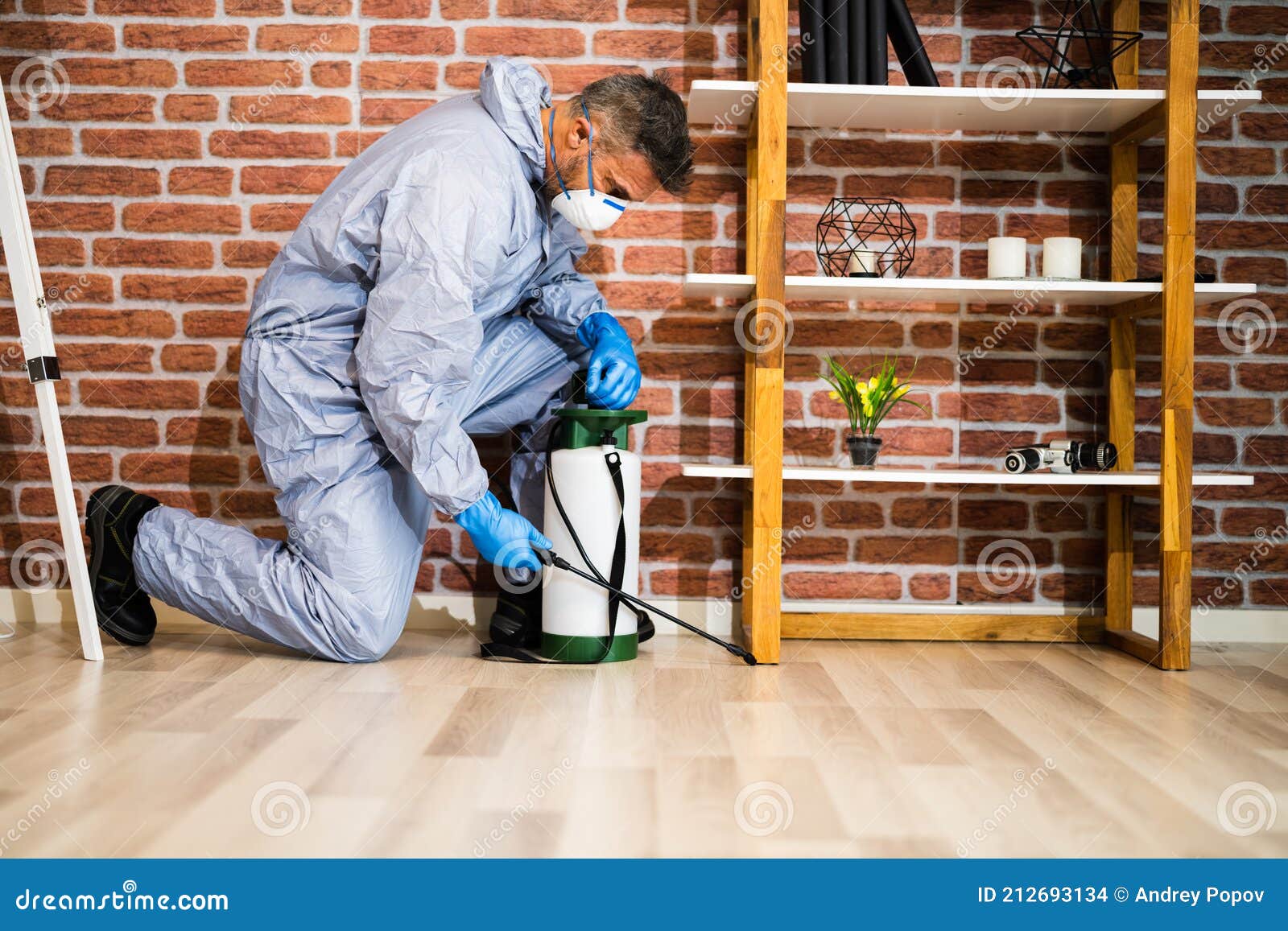 Pest Control Exterminator Services Spraying Insecticide Stock Photo ...