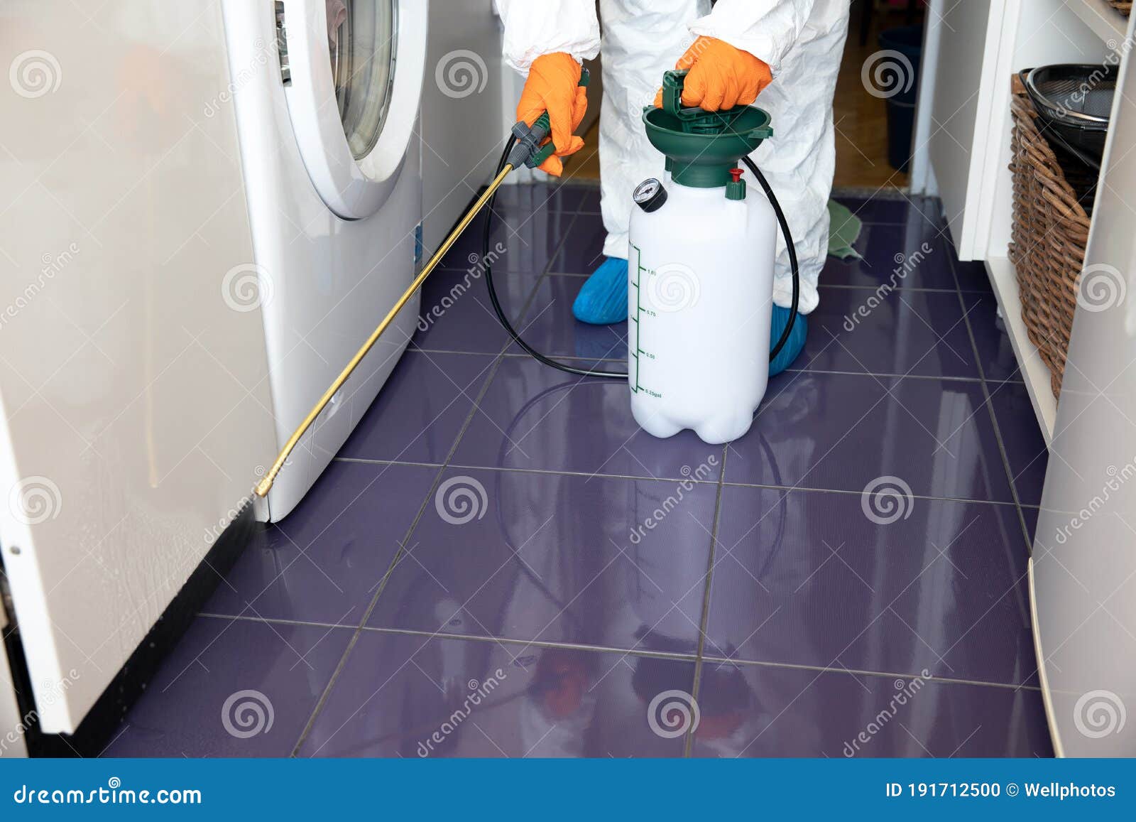 Pest Control in the Kitchen Stock Photo - Image of decontamination ...