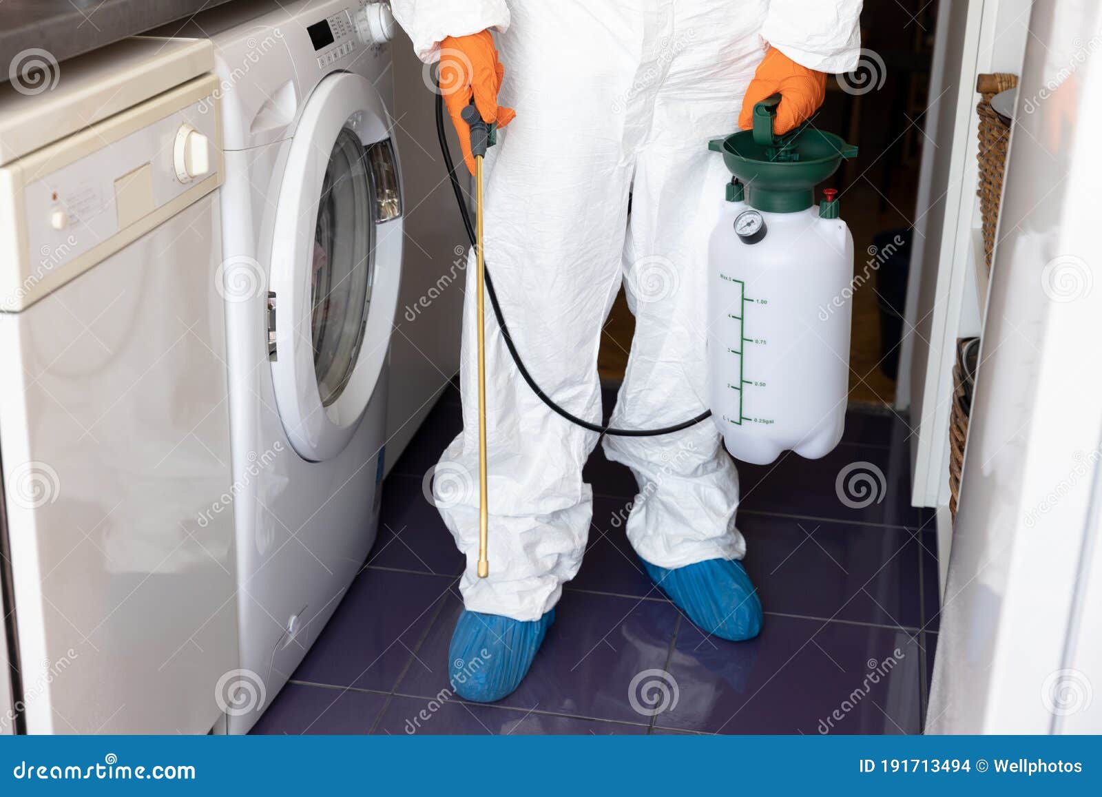 Pest Control in the Kitchen Stock Photo - Image of prevention, expert ...