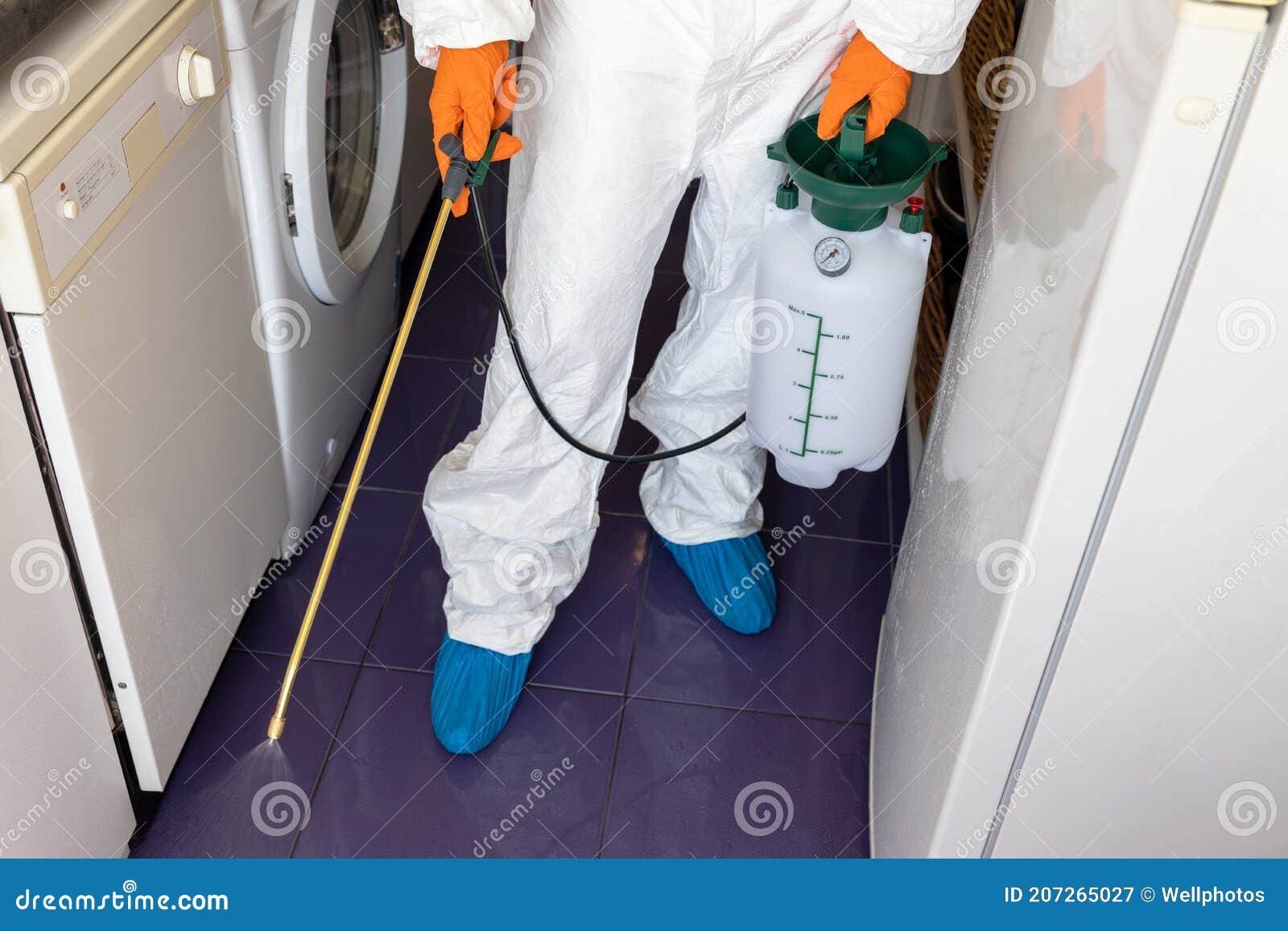 Pest Control in the Kitchen Stock Image - Image of commercial ...