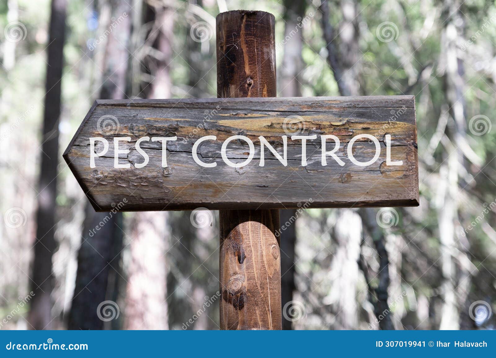 Out-of-control Forest Fire, Brave Firefighters Working The Night Shift ...