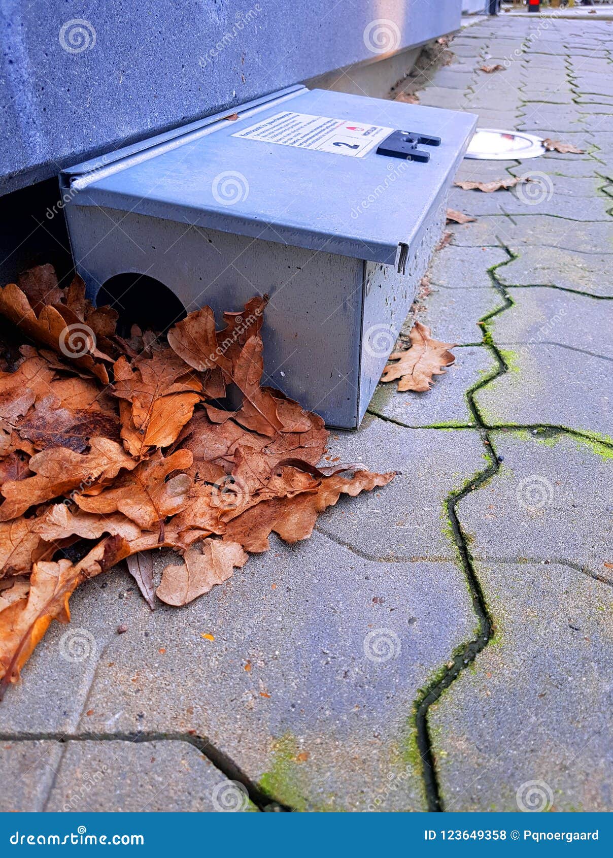 Rat Trap Placed Outside a Store Stock Photo - Image of poisoning ...