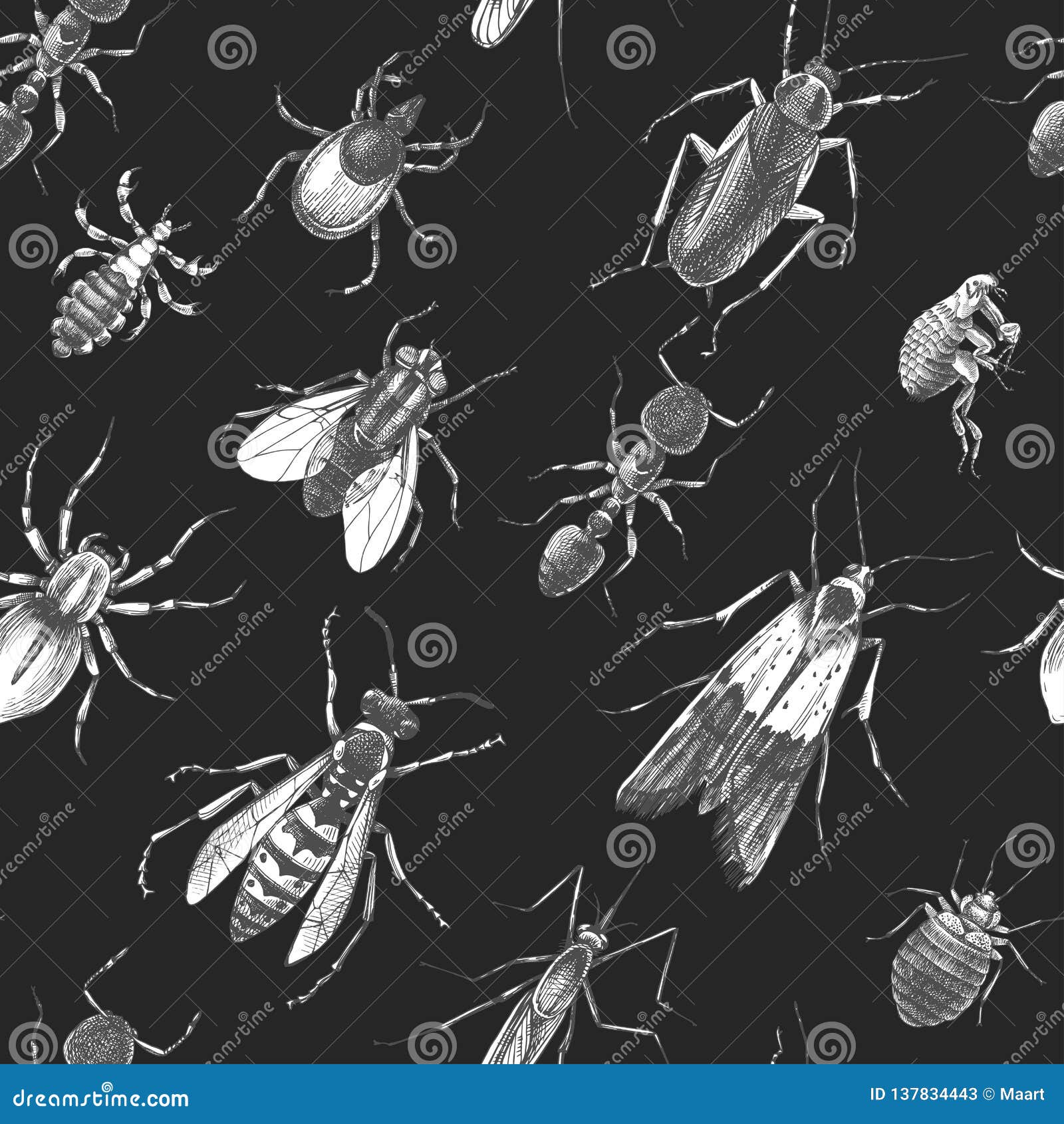 Pest Control Seamless Pattern Stock Vector - Illustration of lice ...