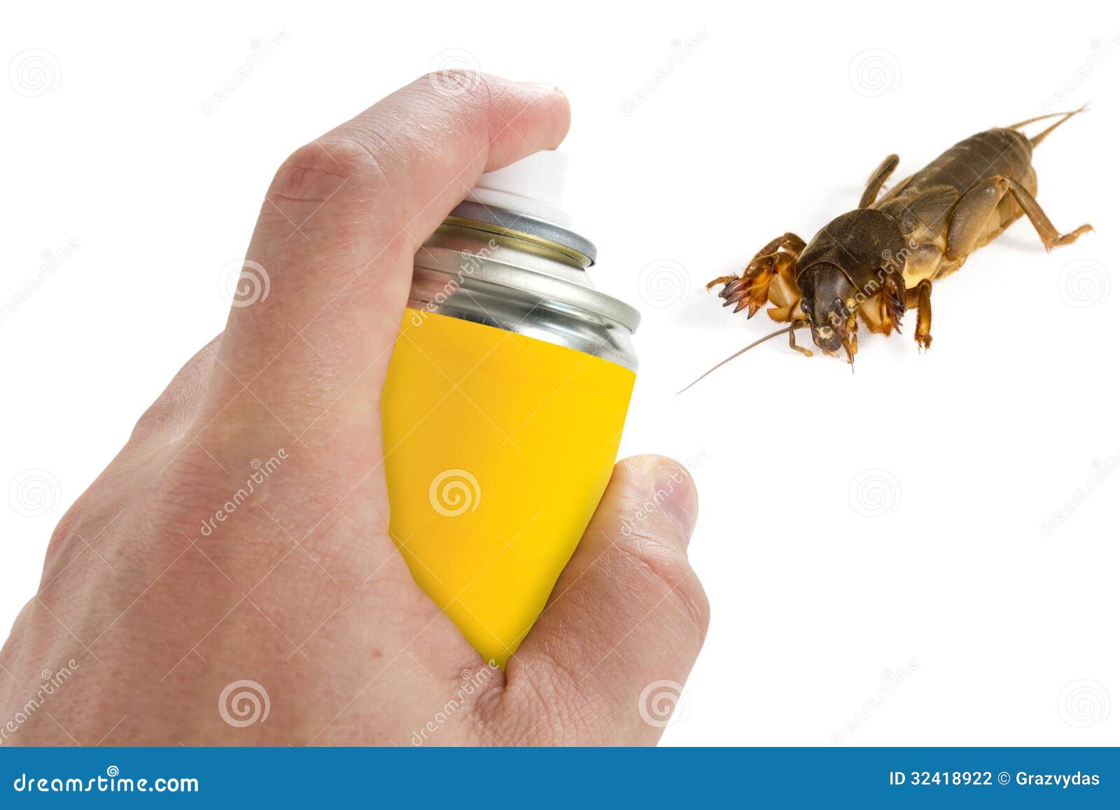 Pest control stock photo. Image of disgust, bottle, spray - 32418922