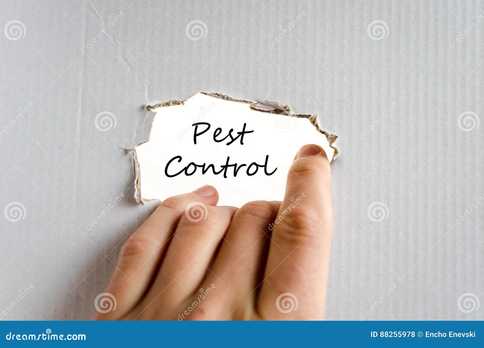 17,640 Pest Control Photos - Free & Royalty-Free Stock Photos from ...