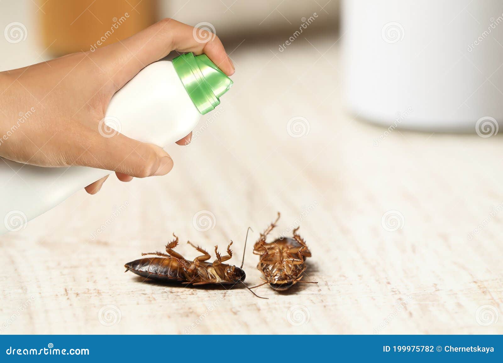 Kill Cockroaches Telegraph