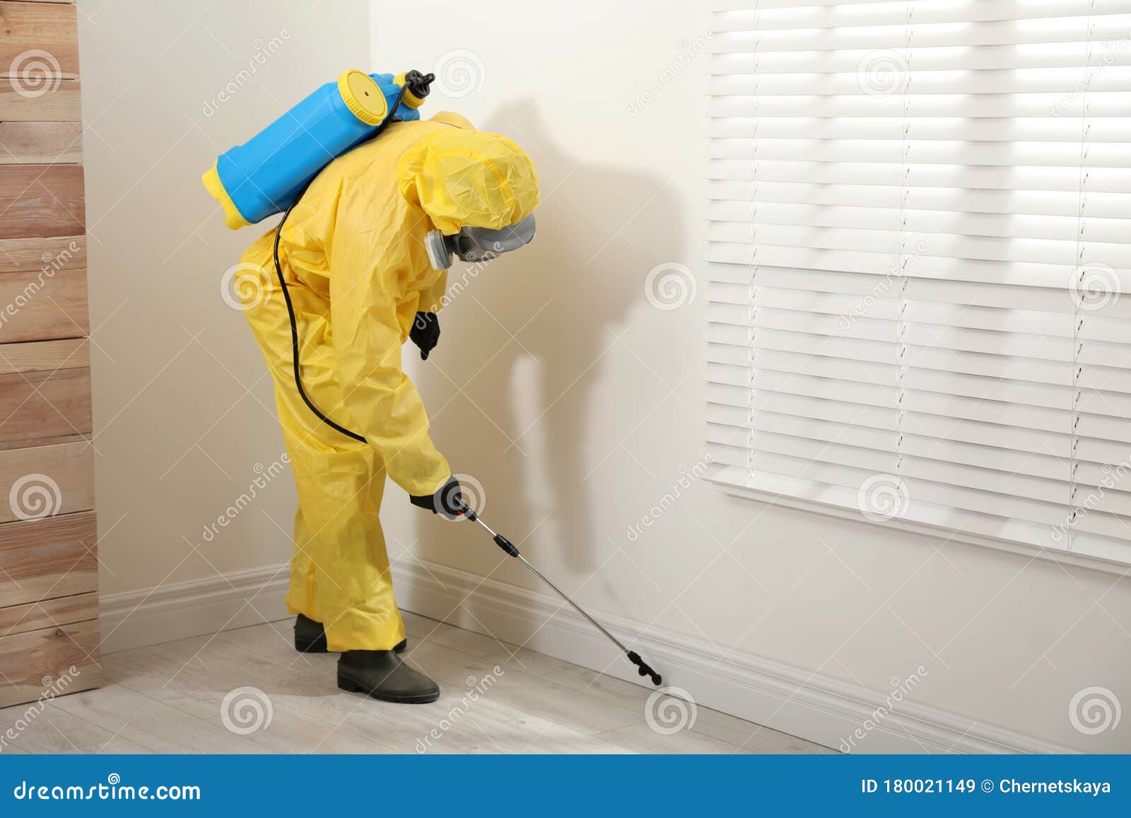 Pest Control Worker in Protective Suit Spraying Insecticide on Floor ...