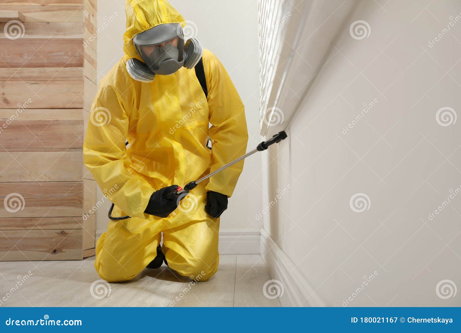 Pest Control Worker in Protective Suit Spraying Insecticide on Window ...