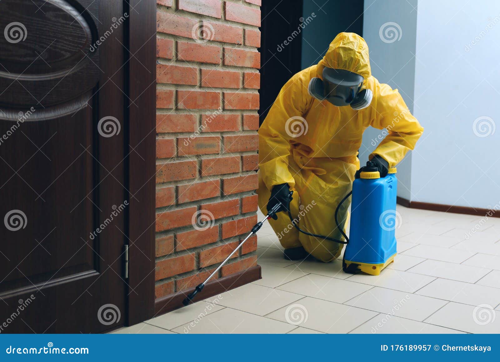 Pest Control Worker in Protective Suit Spraying Pesticide. Space for ...