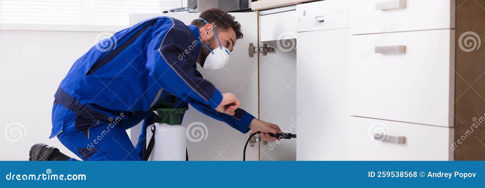 Pest Control Worker Spraying Insecticide Stock Photo - Image of ...
