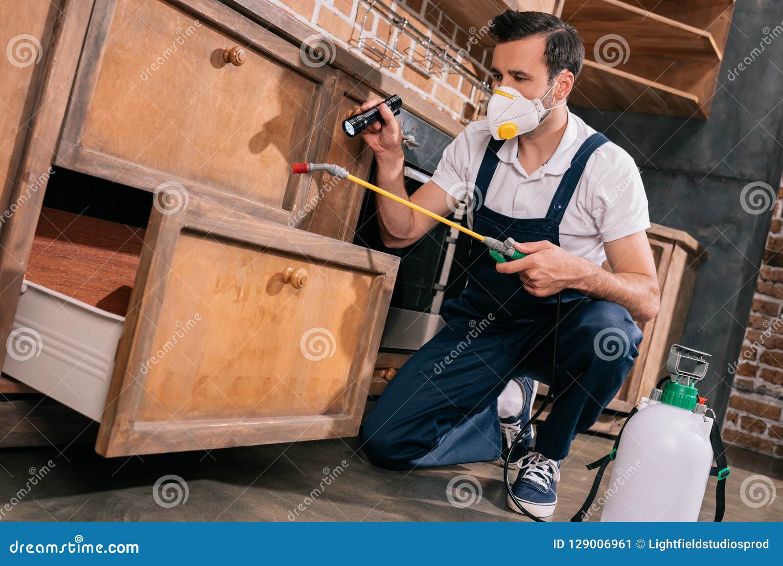 Pest Control Worker Spraying Pesticides in Cabinet in Kitchen Stock ...