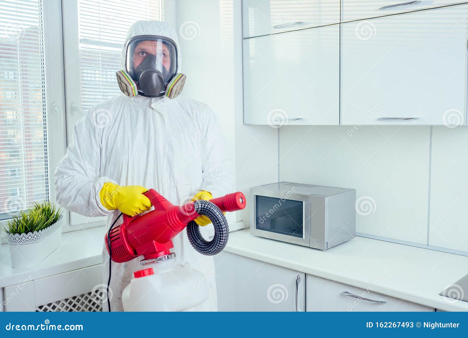 Pest Control Worker Standing with Sprayer in Kitchen Stock Image ...