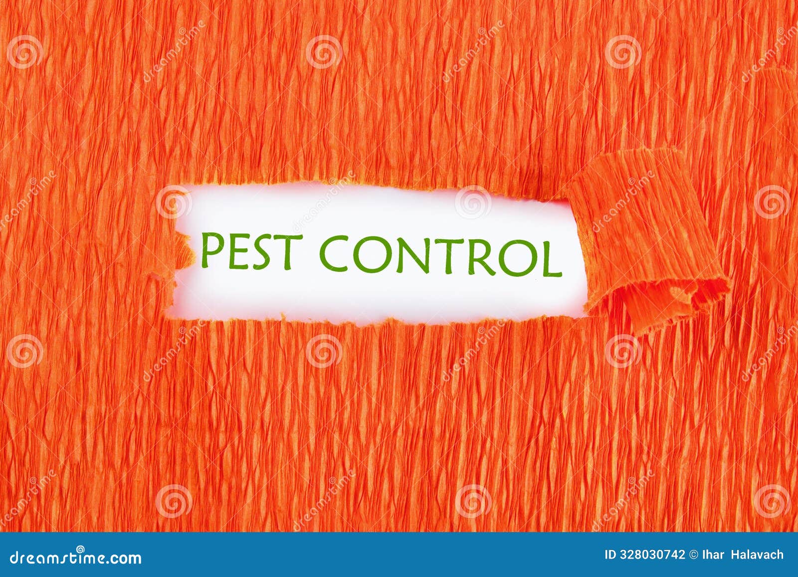 Pest Control Written on White Under the Paper Stock Photo - Image of ...