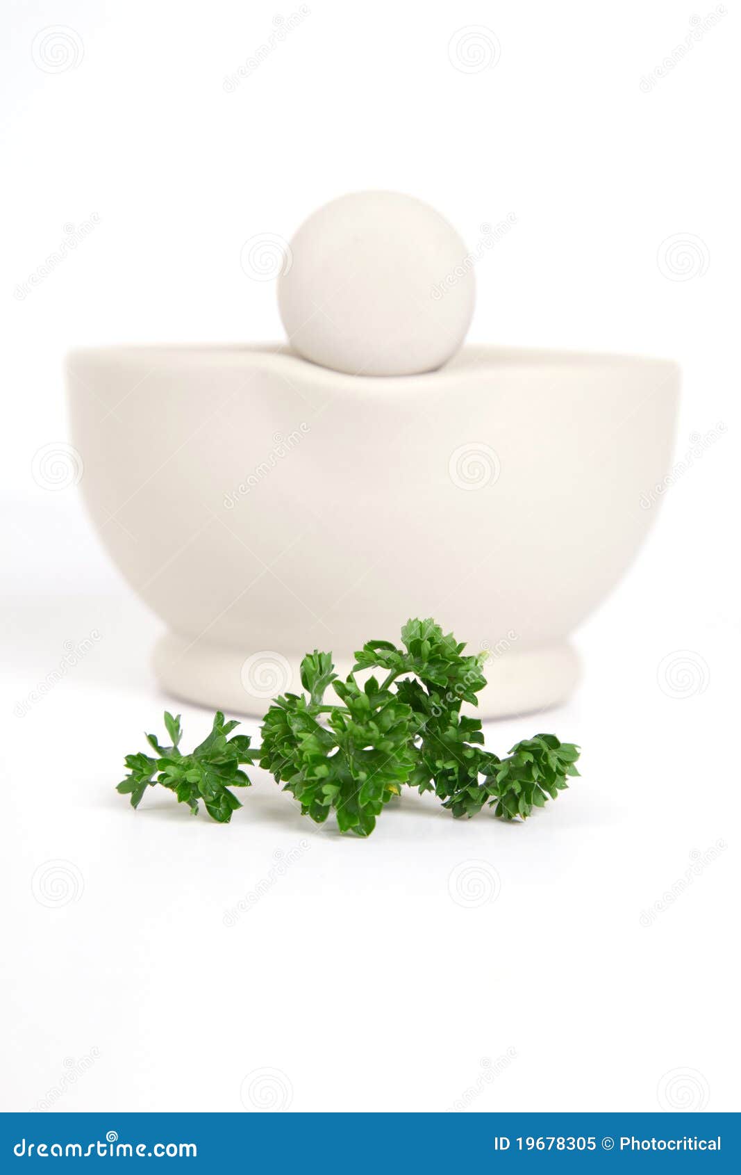 Pestello & Mortaio Con Prezzemolo Immagine Stock - Immagine di ...