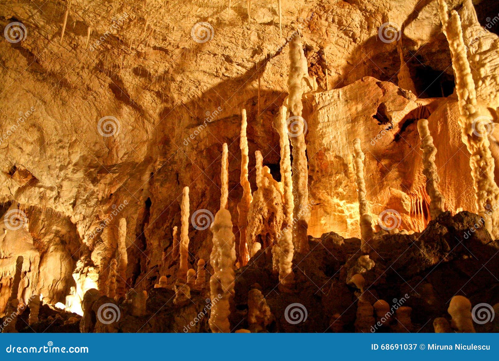 Pestera Ursilor, Romania stock image. Image of bear, ancient - 68691037