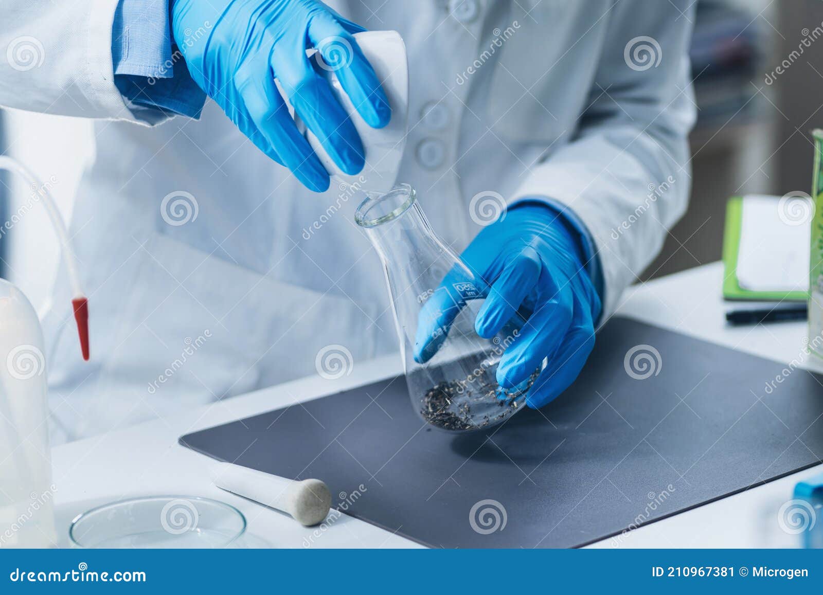 Pesticides in Tea. Quality Control Inspector Working with Herbal Tea ...