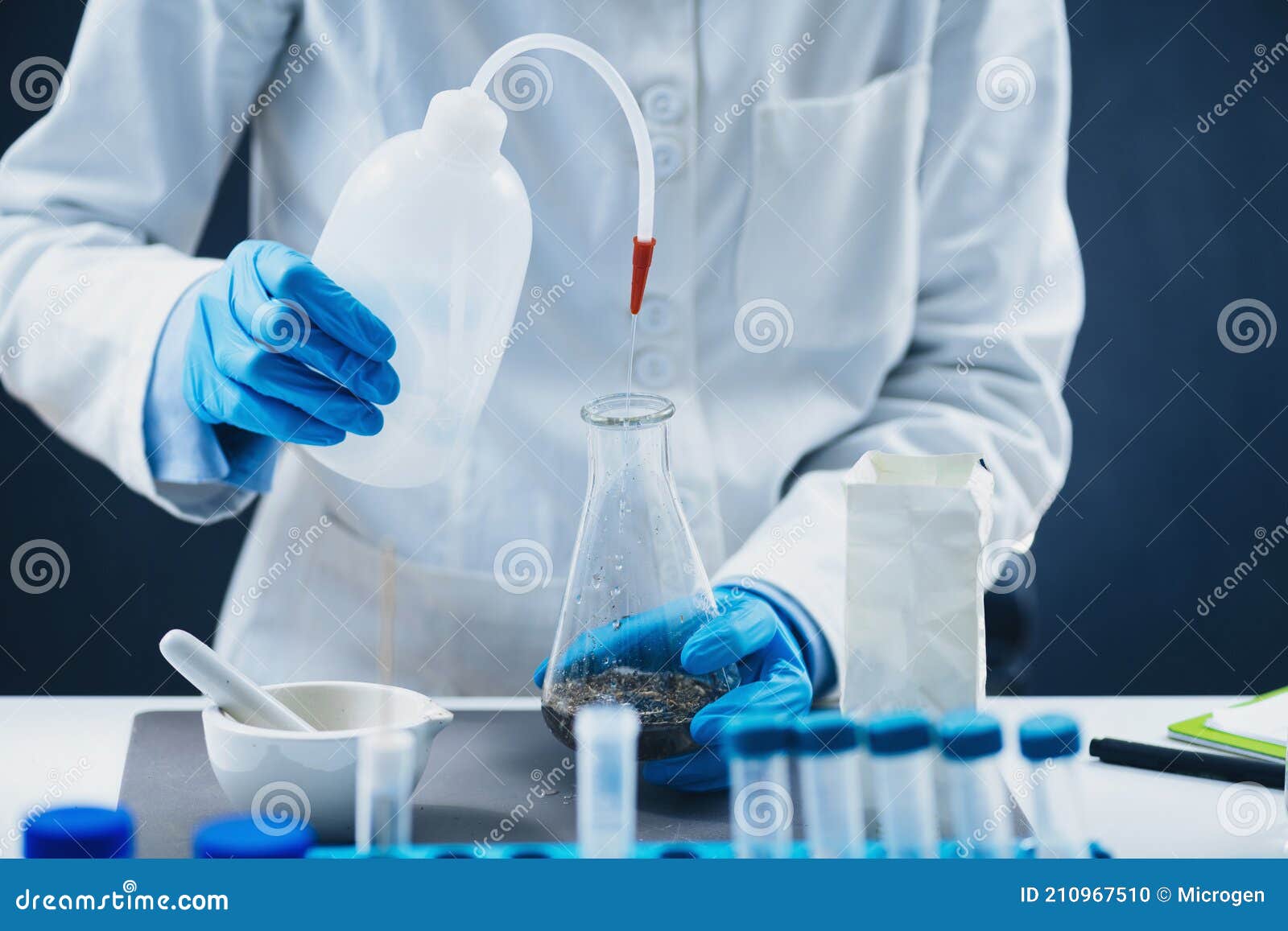 Pesticides in Tea. Quality Control Inspector Working with Herbal Tea ...