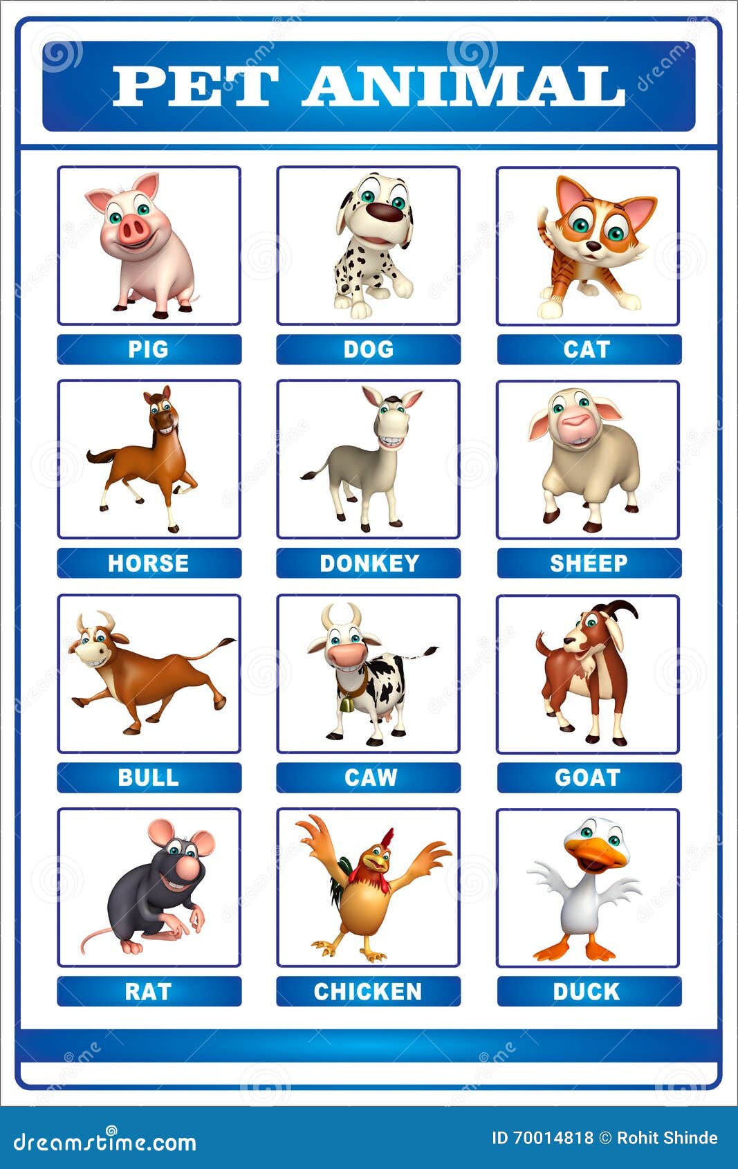 Pet Animals Pictures With Names Chart