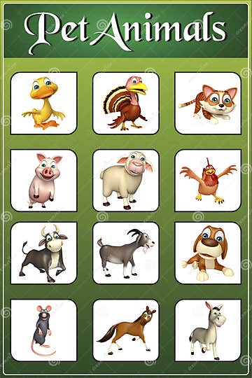 Pet animal chart stock illustration. Illustration of animal - 70014952