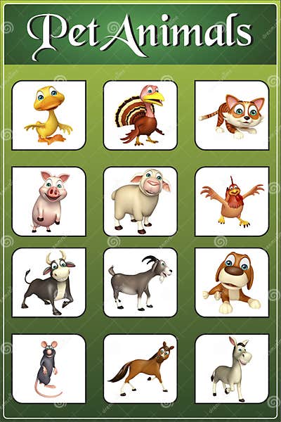 Pet animal chart stock illustration. Illustration of animal - 70014952