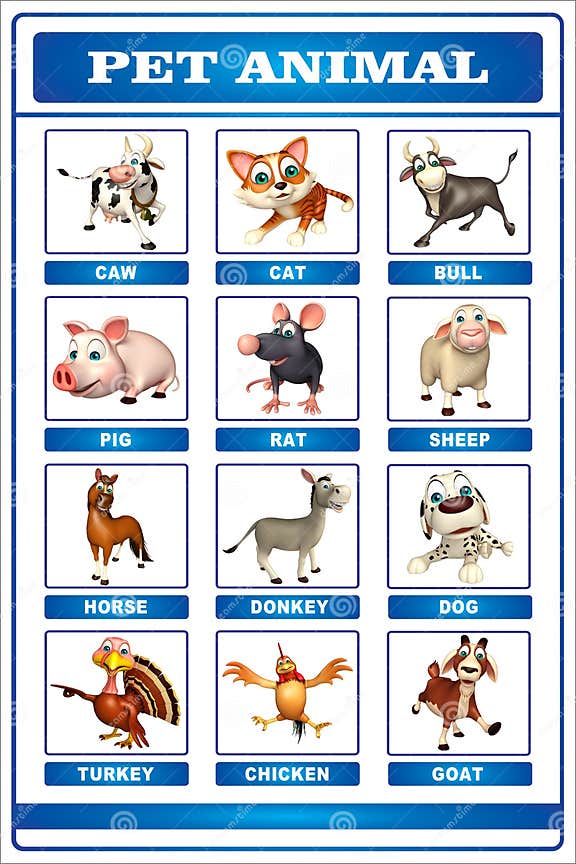 Pet animal chart stock illustration. Illustration of bull - 70015576