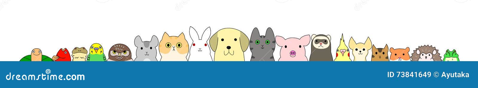 Pet animals banner stock vector. Illustration of turtles - 73841649