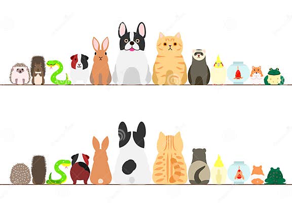 Pet animals border set stock vector. Illustration of cartoon - 84265854