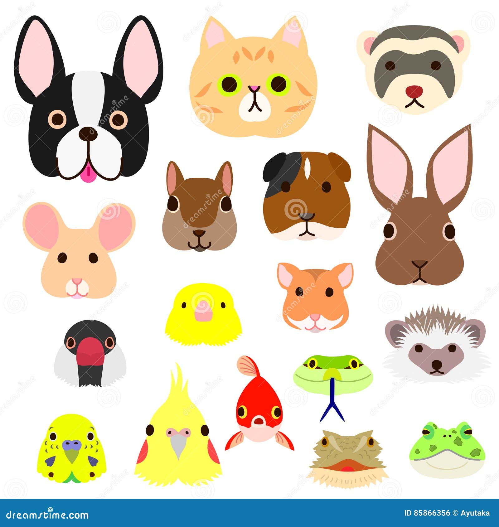 Pet Animals Faces Colorful Set Stock Vector - Illustration of cartoon ...