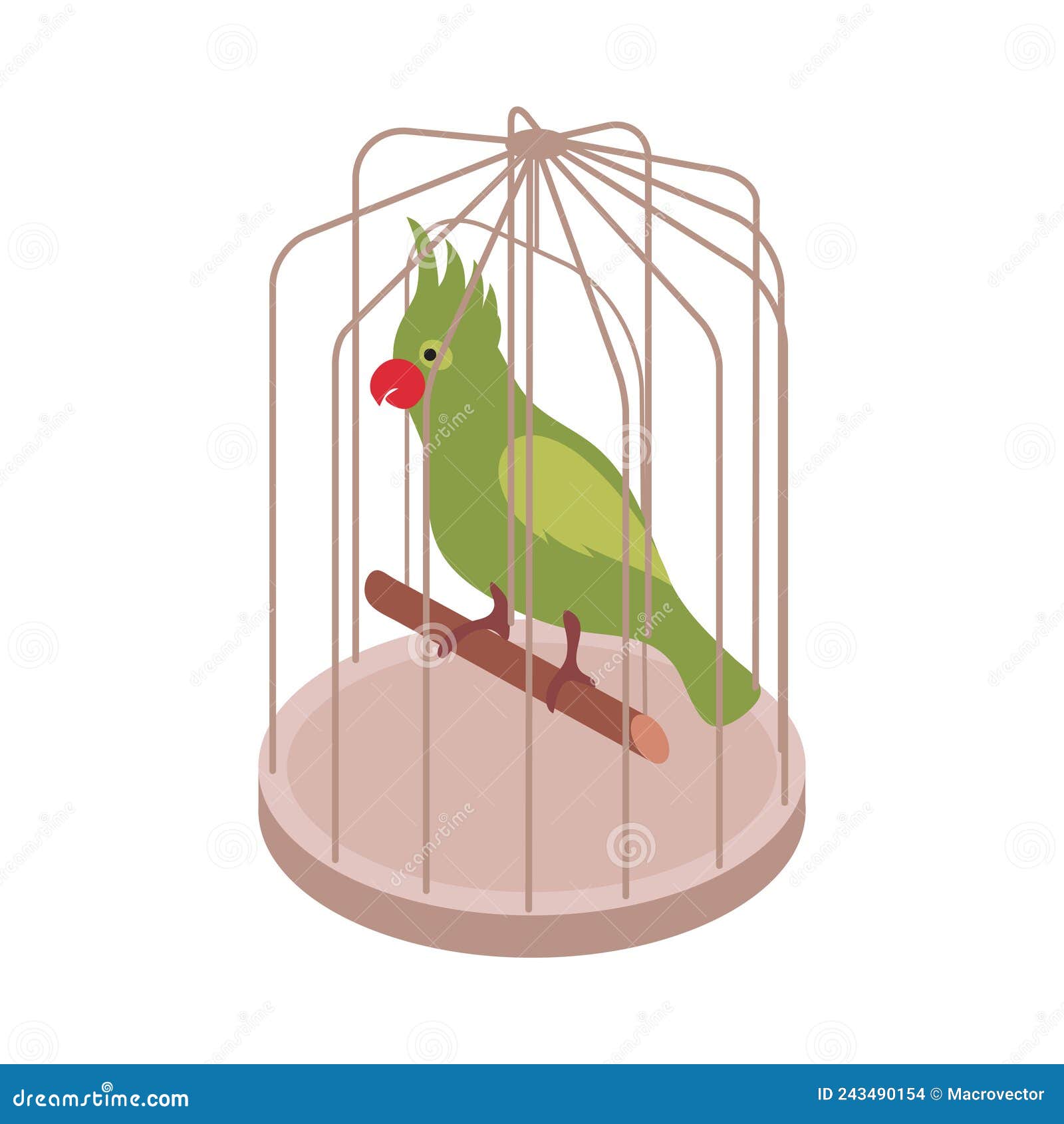 Parrot in Cage Composition stock vector. Illustration of background ...