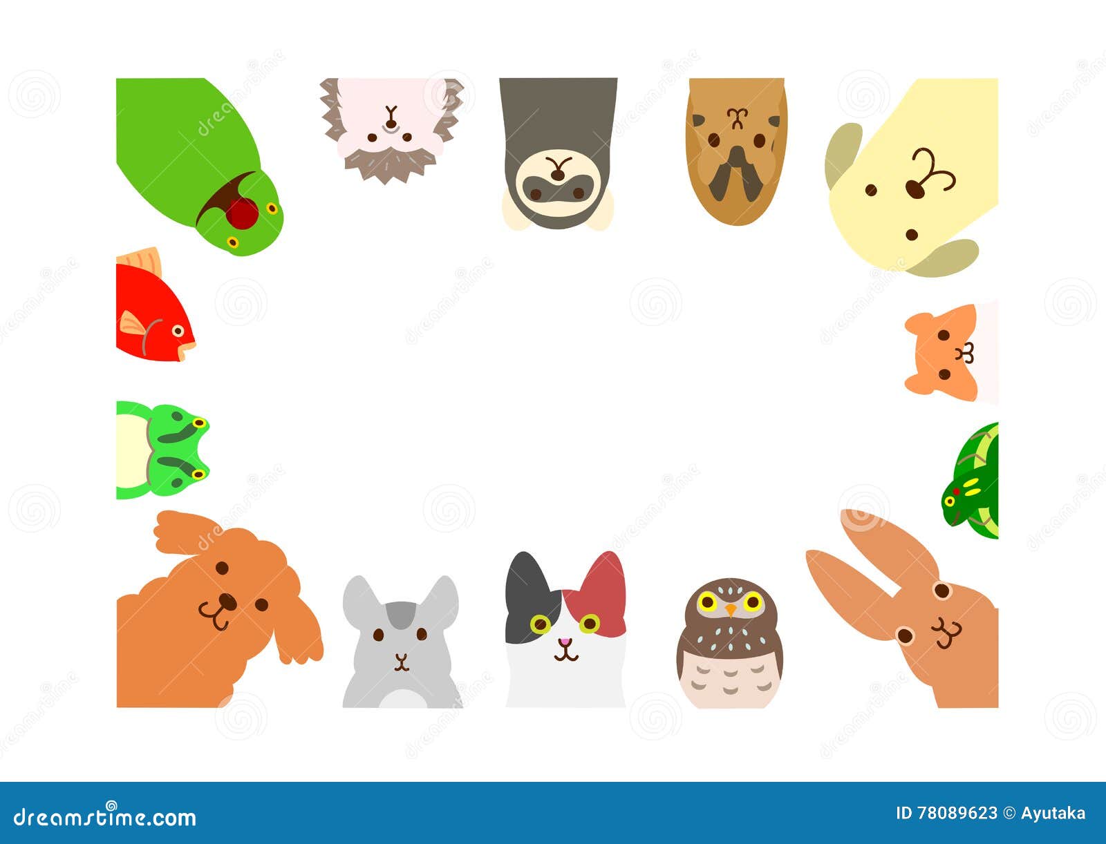 Pet Animals Rectangle Frame Stock Vector - Illustration of parakeet ...