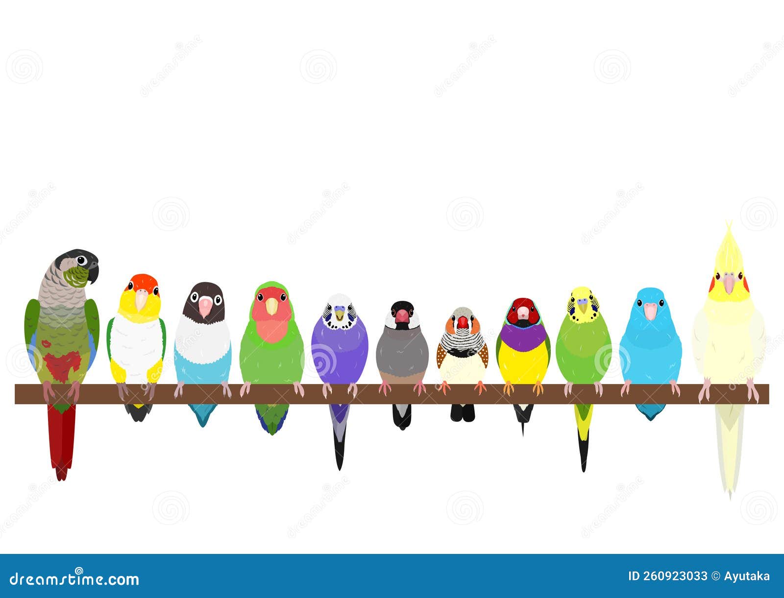 Perching Birds As Winged Feathered Creature With Bright Plumage Vector ...