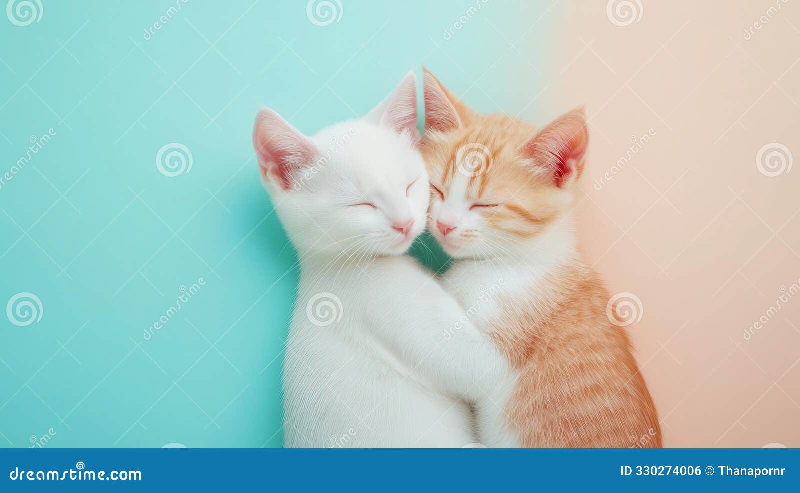 Pet Care Flat Design Top View Animals Water Color Split-complementary ...